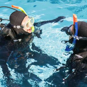 HOME - Flippers Dive