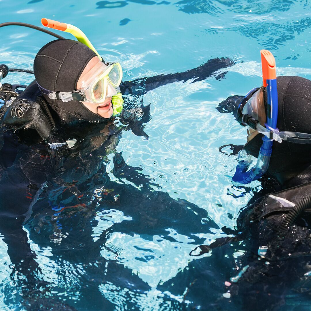 HOME - Flippers Dive