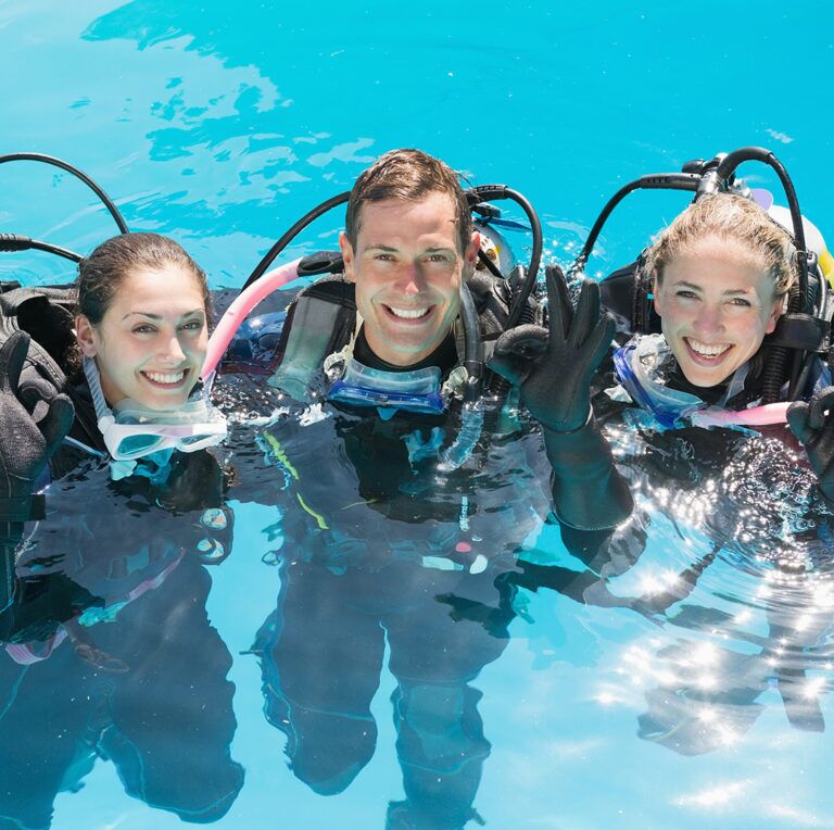 HOME - Flippers Dive