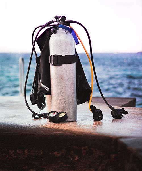 HOME - Flippers Dive